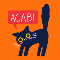 Scared Orange Cat Gif