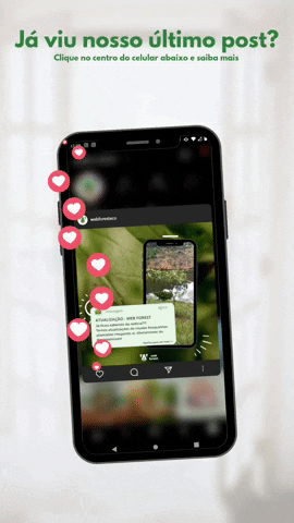 Web Forest GIFs - Find & Share on GIPHY