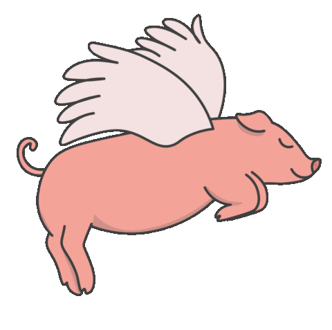 Flying Pig Gif