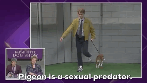 Dog Show GIF by Saturday Night Live - Find & Share on GIPHY