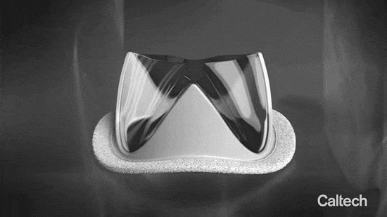 Invention Heartvalve GIF by Caltech - Find & Share on GIPHY