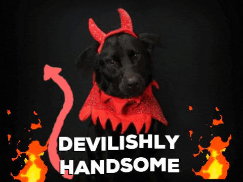 Devilishly GIFs - Get the best GIF on GIPHY