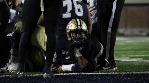 MSU Bobcats GIFs on GIPHY - Be Animated