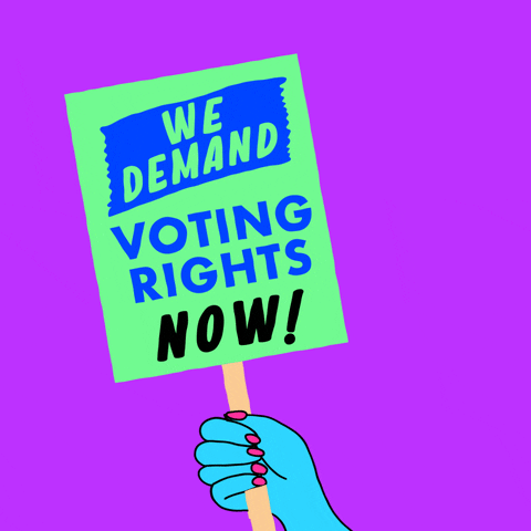 Right To Vote Voting Rights GIF by INTO ACTION - Find & Share on GIPHY