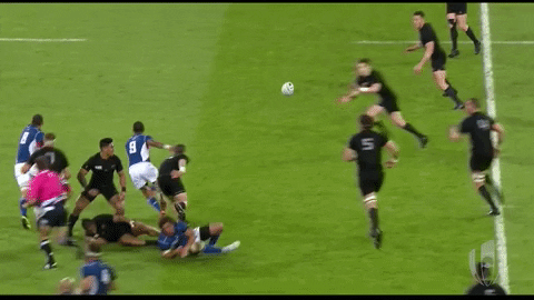 Namibia Rugby GIF by Rugby World Cup - Find & Share on GIPHY