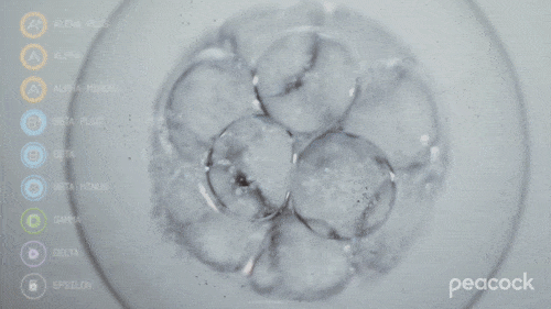 Epsilon Plus GIFs - Get the best GIF on GIPHY