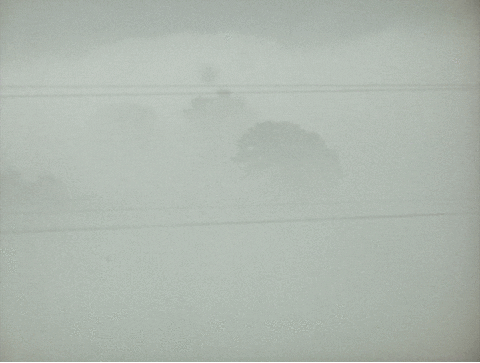 Kyoto-fog GIFs - Get the best GIF on GIPHY