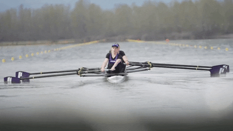 Rowing GIFs - Find & Share on GIPHY