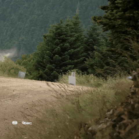 7_WRC EKO Acropolis Rally Greece 2025 GIFs on GIPHY - Be Animated