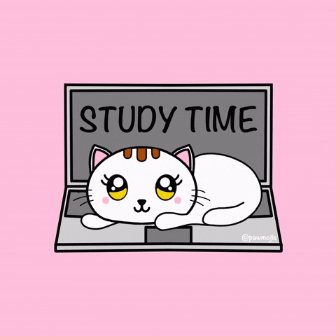 Study Cat GIFs - Get the best GIF on GIPHY