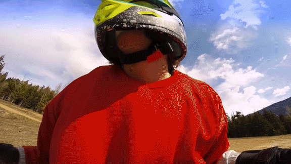 CTV GIF - Find & Share on GIPHY