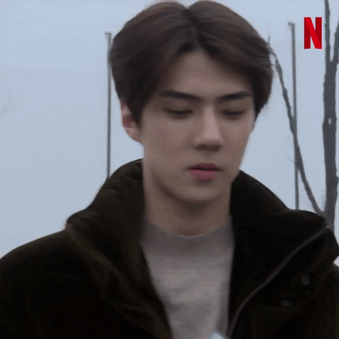 Netflix Bustednetflix GIF by Busted! - Find & Share on GIPHY