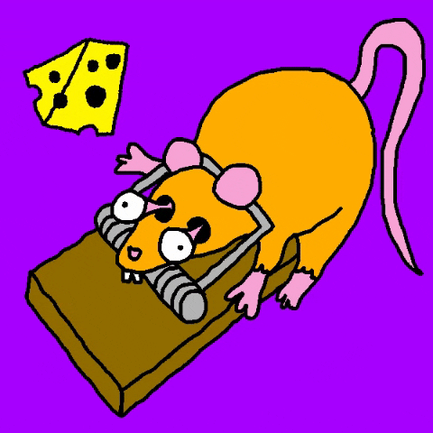 Cheese-death GIFs - Get the best GIF on GIPHY