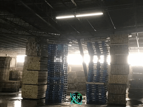 Forklift hit support beam. Pallets are holding the roof up. : r/WTF