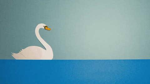 Paper-swan GIFs - Get the best GIF on GIPHY