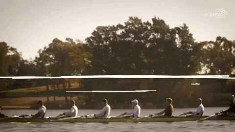 RowingAustralia GIF - Find & Share on GIPHY