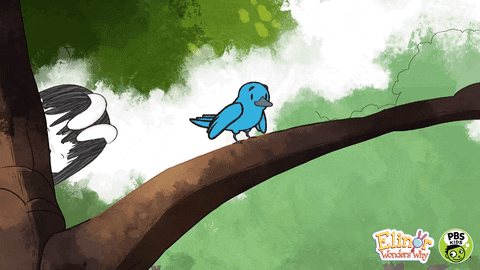 Animated Gifs Birds