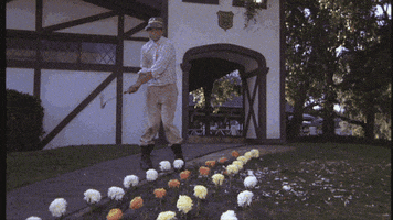 Caddyshack GIFs - Find & Share on GIPHY