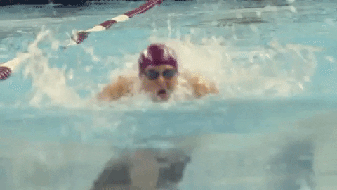Breaststroke Swimming Gif