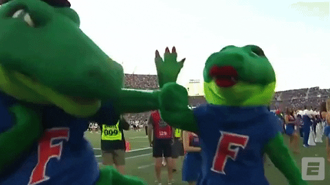 Gator-fans GIFs - Get the best GIF on GIPHY