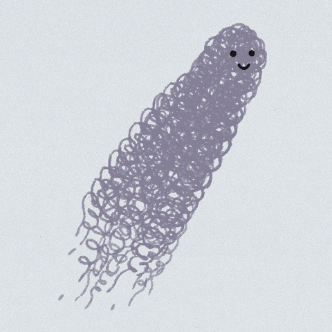 Filght GIFs - Get the best GIF on GIPHY