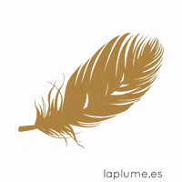 Gif De Pluma Animada GIFs De Plumarina | Tenor