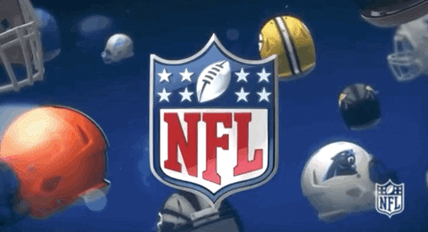 Nfl-regular-season-19 GIFs - Get the best GIF on GIPHY