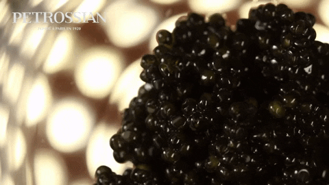National Caviar Day GIFs - Get the best GIF on GIPHY