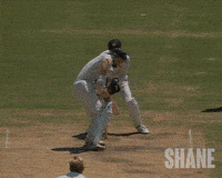Cricket Gif