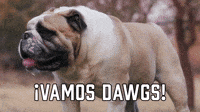 Lets-go-dawgs GIFs - Get the best GIF on GIPHY