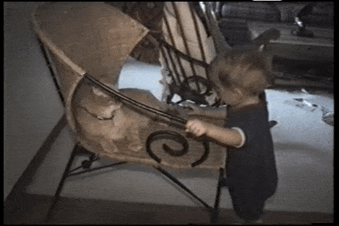 afv | GIF | PrimoGIF