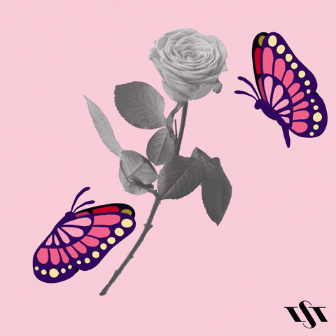 Lst GIFs - Get the best GIF on GIPHY