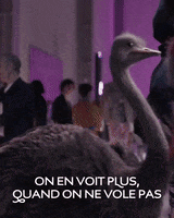 Eurostar GIFs on GIPHY - Be Animated