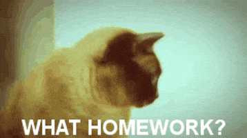 Homework GIFs - Get the best GIF on GIPHY