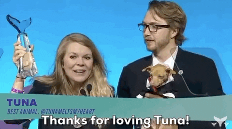 Tuna GIF by Shorty Awards - Find & Share on GIPHY