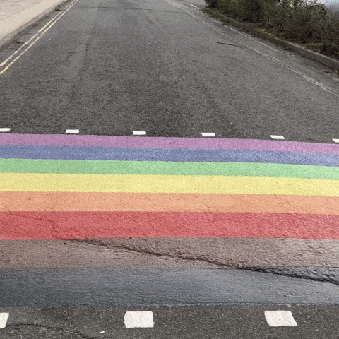 Dogs On Rainbow Crossings GIFs - Get the best GIF on GIPHY