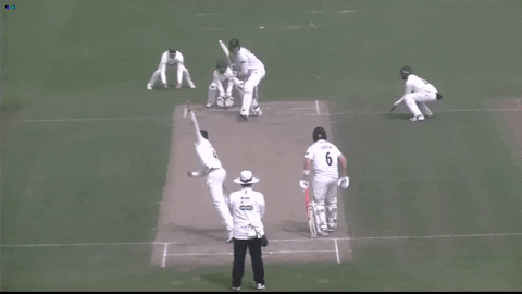 Catch Diving GIF by Leicestershire Country Cricket Club - Find & Share ...