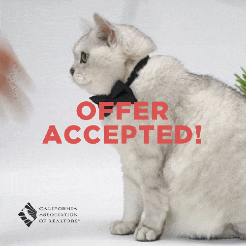 Associates GIFs - Get the best GIF on GIPHY