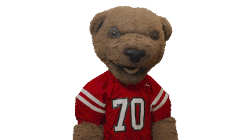 Cornell University Touchdown Sticker for iOS & Android | GIPHY