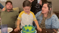 Kids-cake GIFs - Get the best GIF on GIPHY