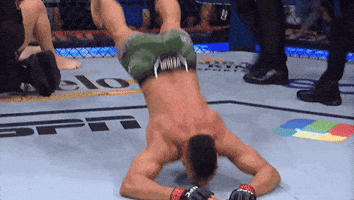 Here's What Happened at UFC279! by Sports GIFs | GIPHY