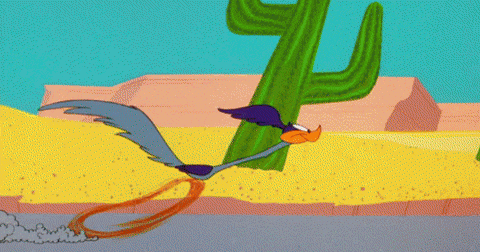 Road Runner GIFs - Find & Share on GIPHY