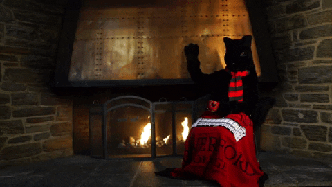 Dining Center GIFs - Get the best GIF on GIPHY