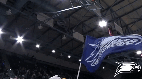 Georgia Southern Athletics GIFs on GIPHY - Be Animated