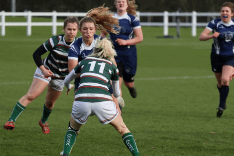 Leeds-gryphons GIFs - Get the best GIF on GIPHY