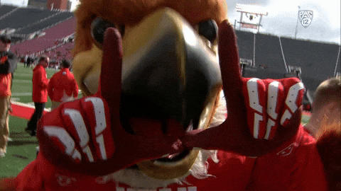 Utah Football GIF by Pac-12 Network - Find & Share on GIPHY