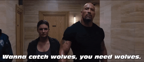 You-need-wolves GIFs - Get the best GIF on GIPHY