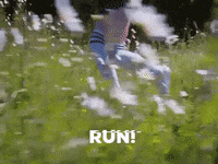 Girl Running In Field Gif