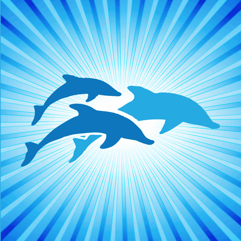 Dolphinlife GIFs - Get the best GIF on GIPHY
