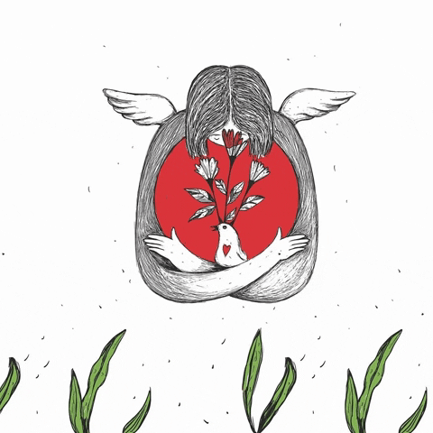 Iran GIF - Find & Share on GIPHY